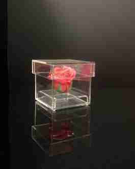 Acrylic Flower Box - Chinov Display