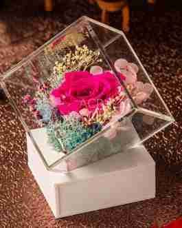 Acrylic Flower Box - Chinov Display